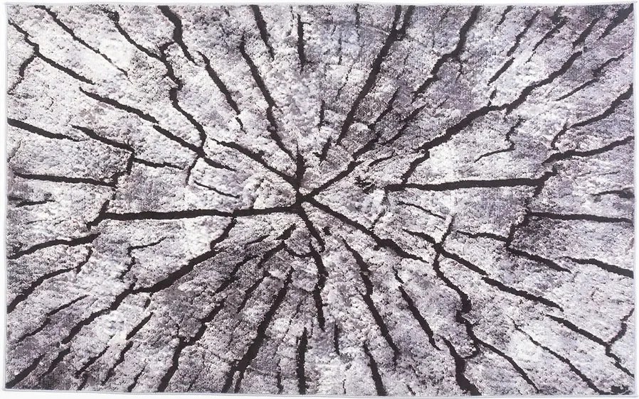 TZ Obdélníkový vzorovaný koberec Neo Rozměr: 160x200 cm