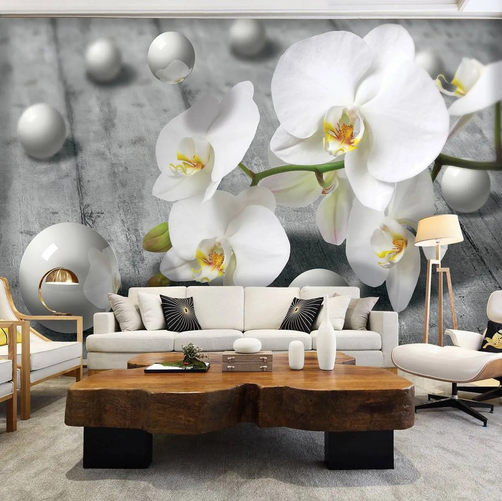 Fototapeta - Bílé orchideje (152,5x104 cm)