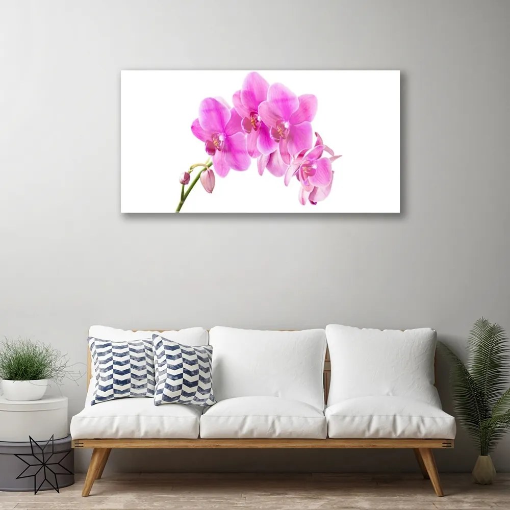 Obraz na skle Vstavač Květ Orchidej 100x50 cm