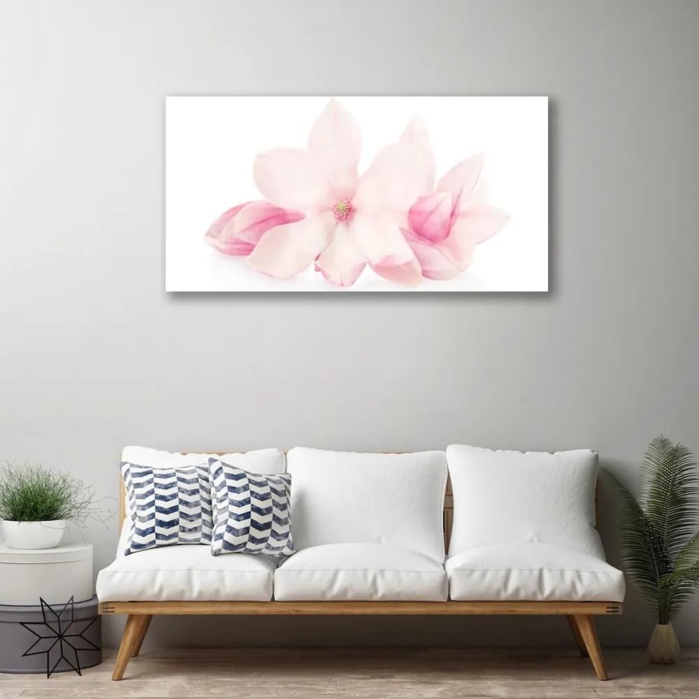 Plexisklo-obraz Květiny Plátky Rostlina Příroda 100x50 cm