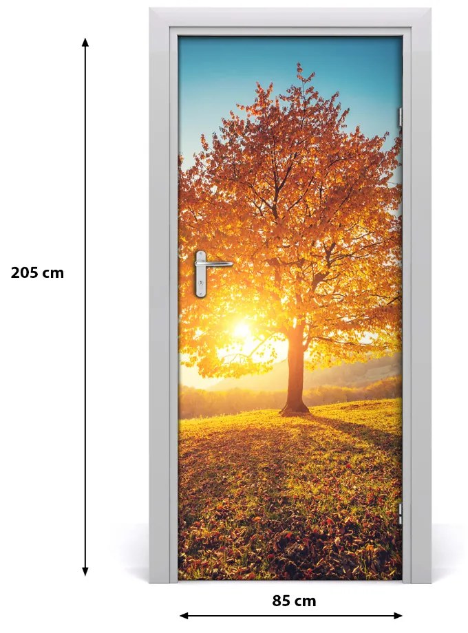 Fototapeta samolepící na dveře podzim dřevo 85x205 cm