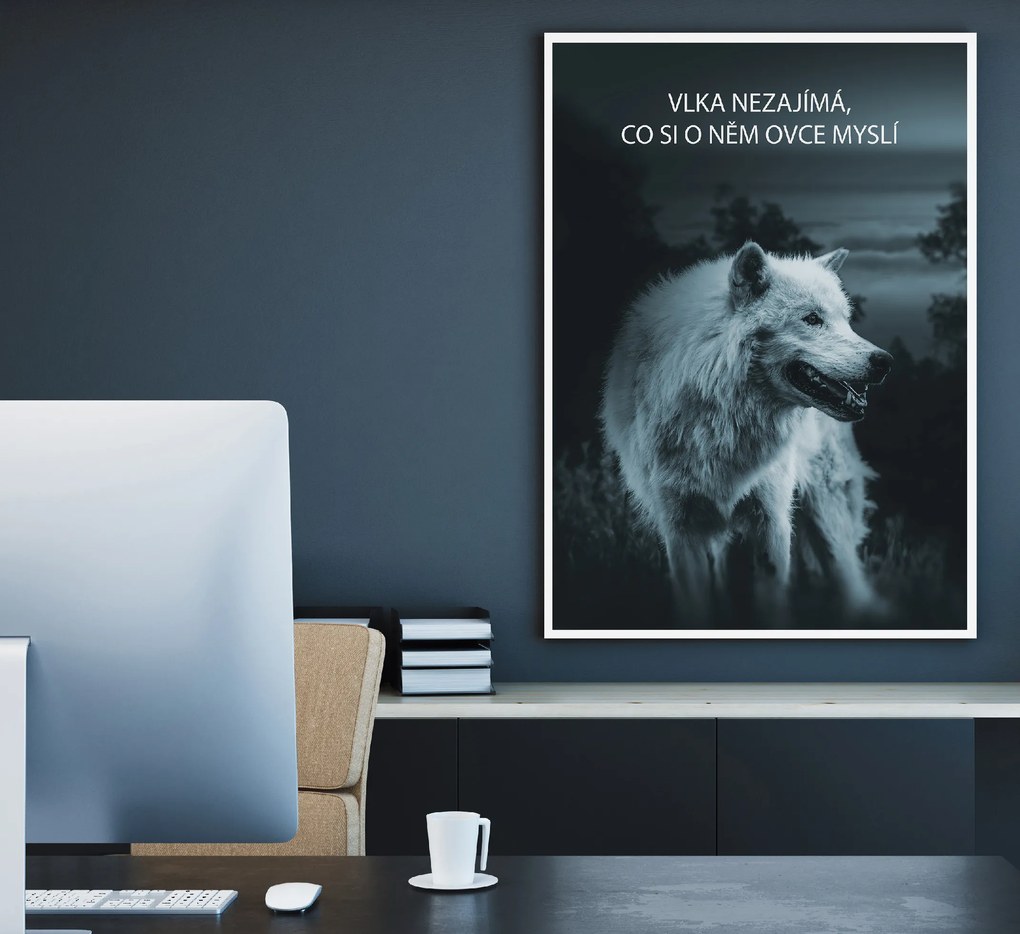 Pixada a wolf doesn't care about the opinion of sheep - motivační obraz Velikost: B2 - 50x70 cm, Volba rámu: s bílým rámem, Jazyk: Čeština