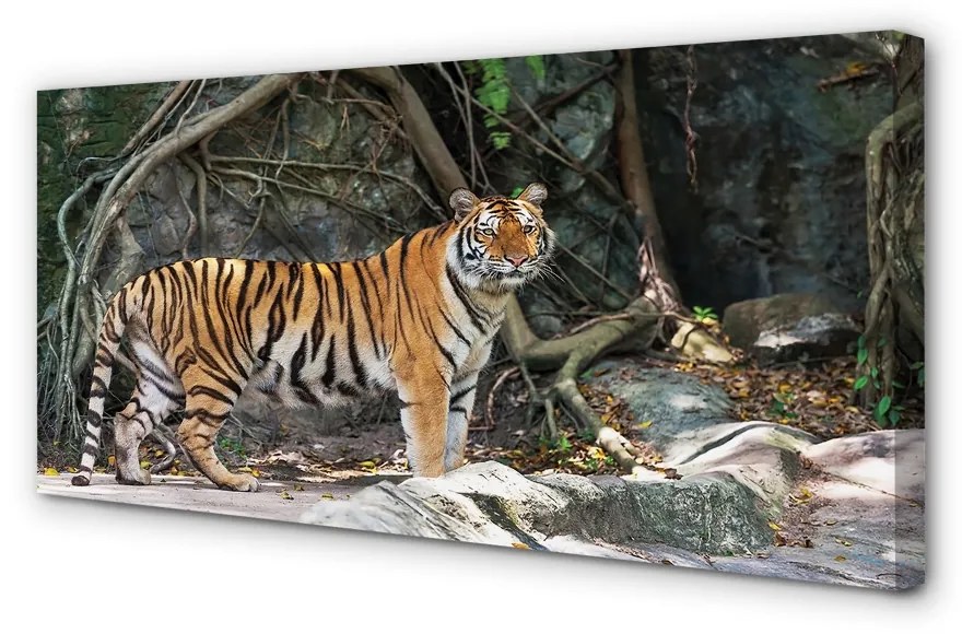 Obrazy na plátně tygr džungle 120x60 cm