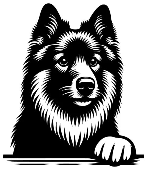 Samolepka pes Norský elkhound