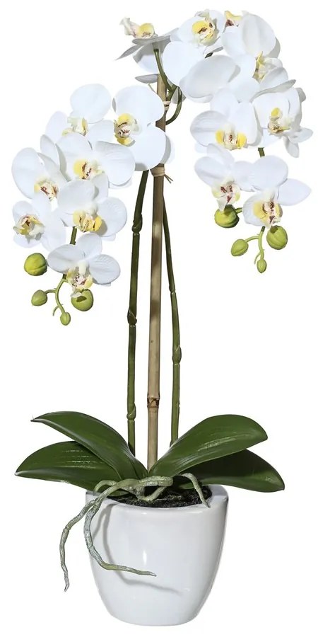 Gasper Orchidej Phalenopsis 43 cm vč.květináče