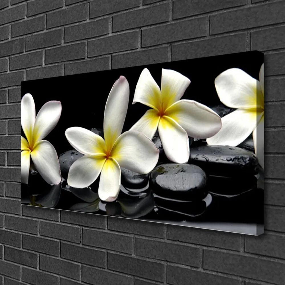 Obraz na plátně Kameny Květiny Lázně 120x60 cm