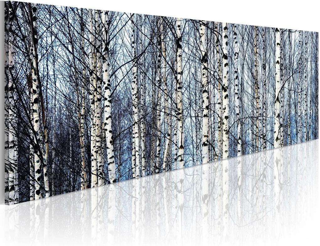 Obraz - White birches 120x40