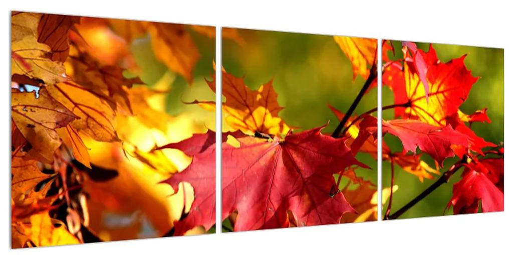 Obraz podzimních listů (120x40 cm)