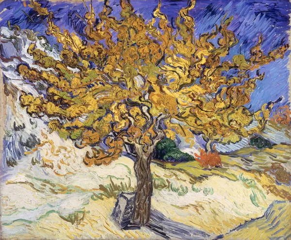 Vincent van Gogh - Obrazová reprodukce Mulberry Tree, 1889, (40 x 35 cm)