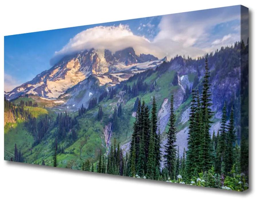 Obraz na plátně Hora Les Krajina 120x60 cm