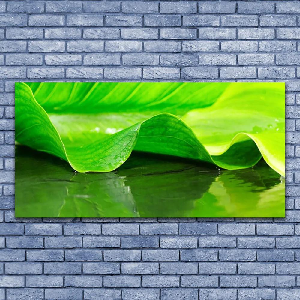 akrylový obraz Liść Roślina Natura 120x60 cm