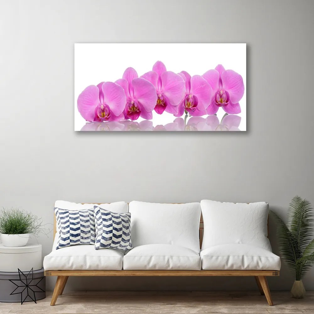 Obraz na plátně Růžová Orchidej Květiny 100x50 cm