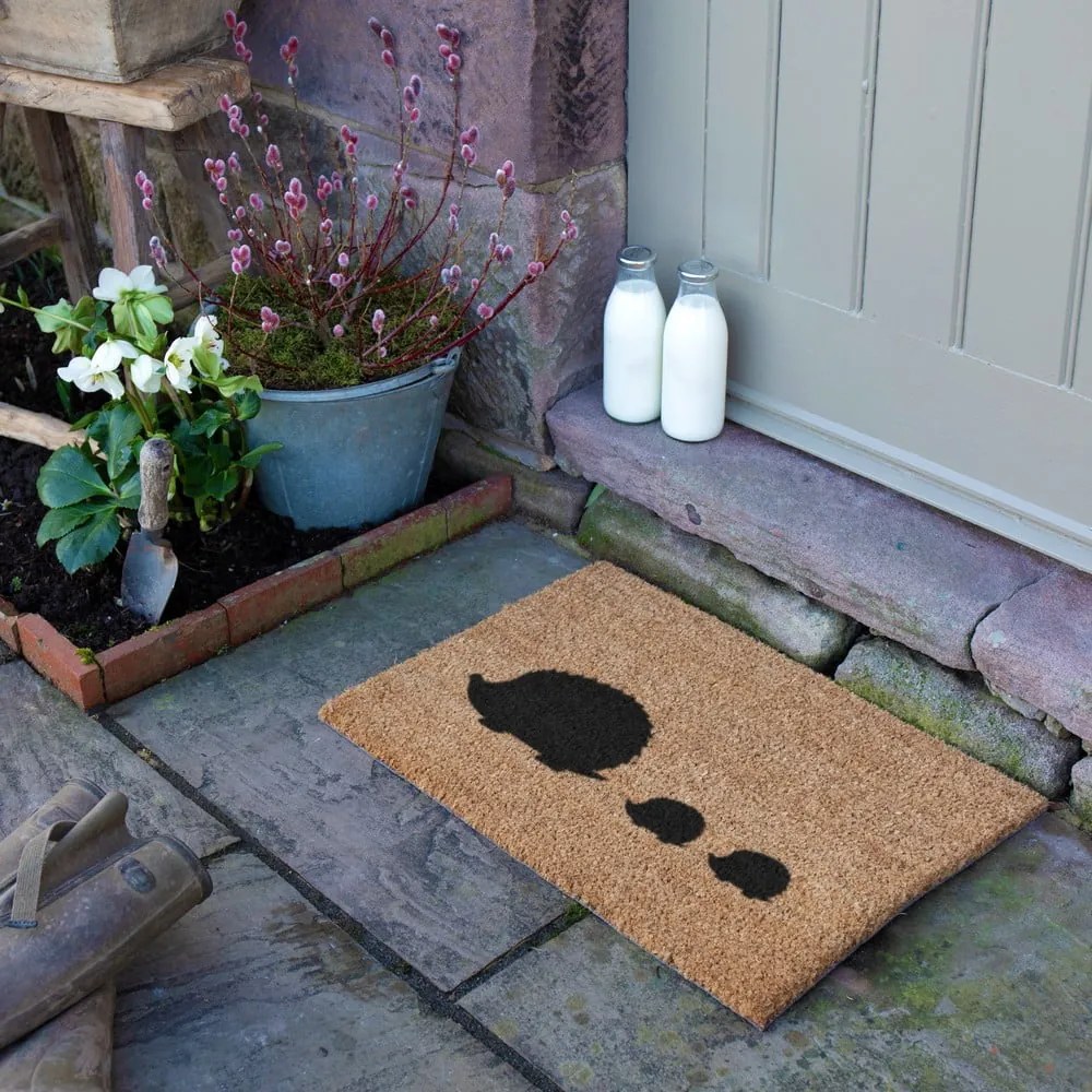 Rohožka z kokosového vlákna 40x60 cm Hedgehog Family – Artsy Doormats