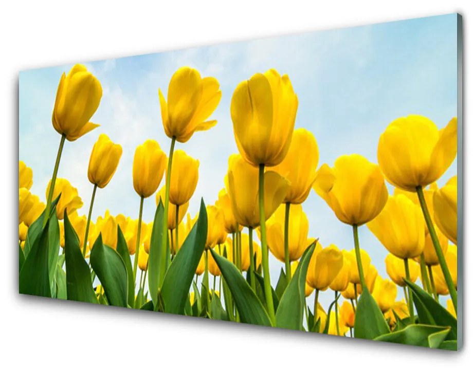 akrylový obraz Tulipány Květiny Rostlina 120x60 cm