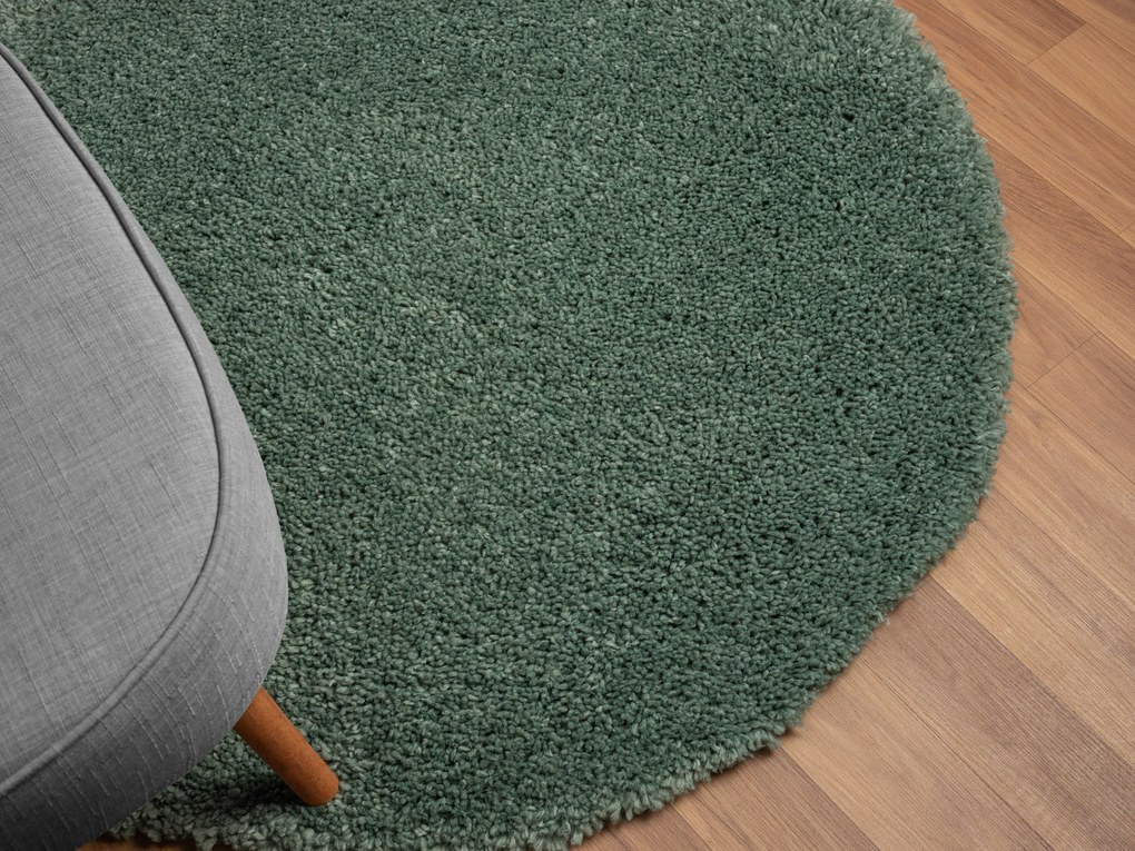My Flair, AKCE: 150x150 (průměr) kruh cm Kusový koberec My Shaggy hellgrün kruh, zelená, chodba / předsíň