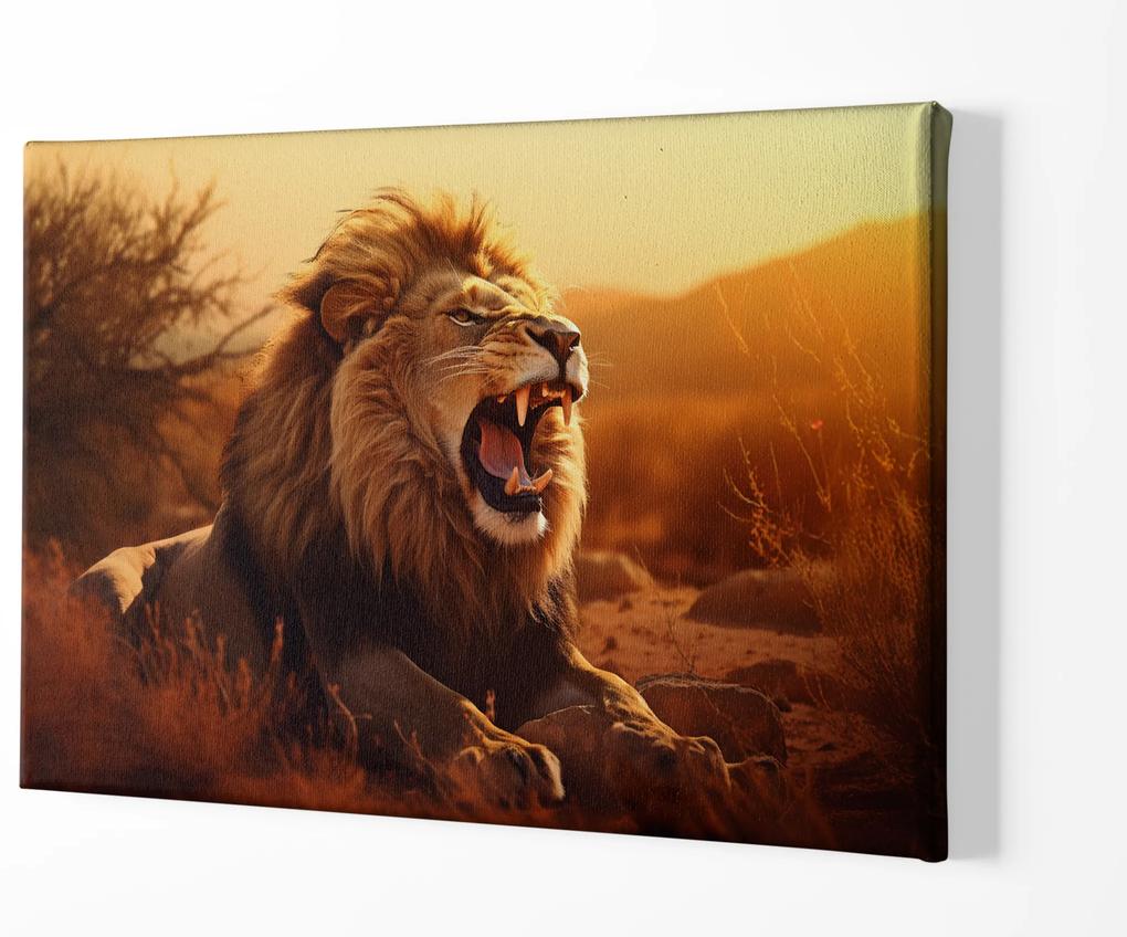 Obraz na plátně - Lev zívá v savaně při západu slunce FeelHappy.cz Velikost obrazu: 150 x 100 cm