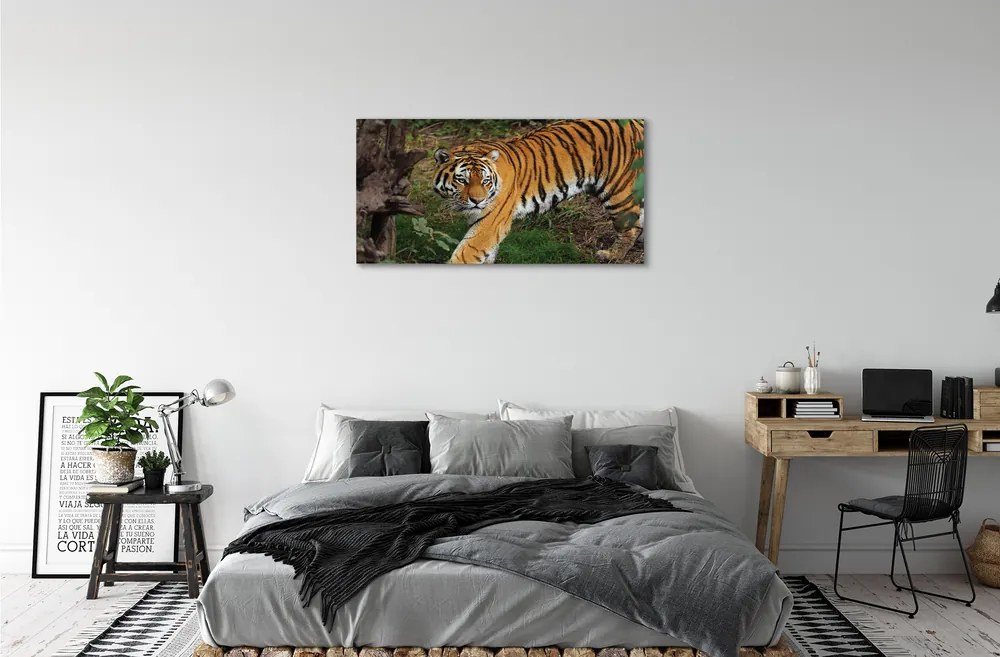 Obrazy na plátně Tiger Woods 100x50 cm