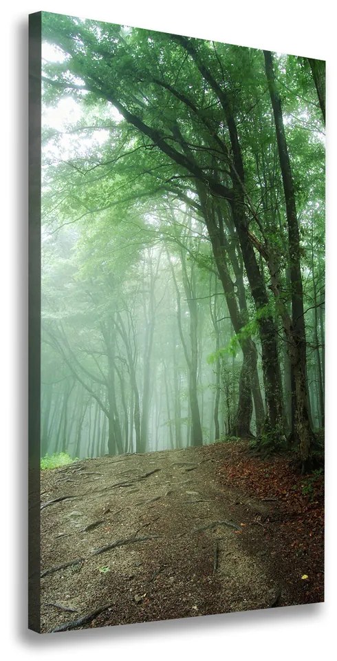 Wallmuralia Foto obraz canvas Mlha v lese 50x100 cm