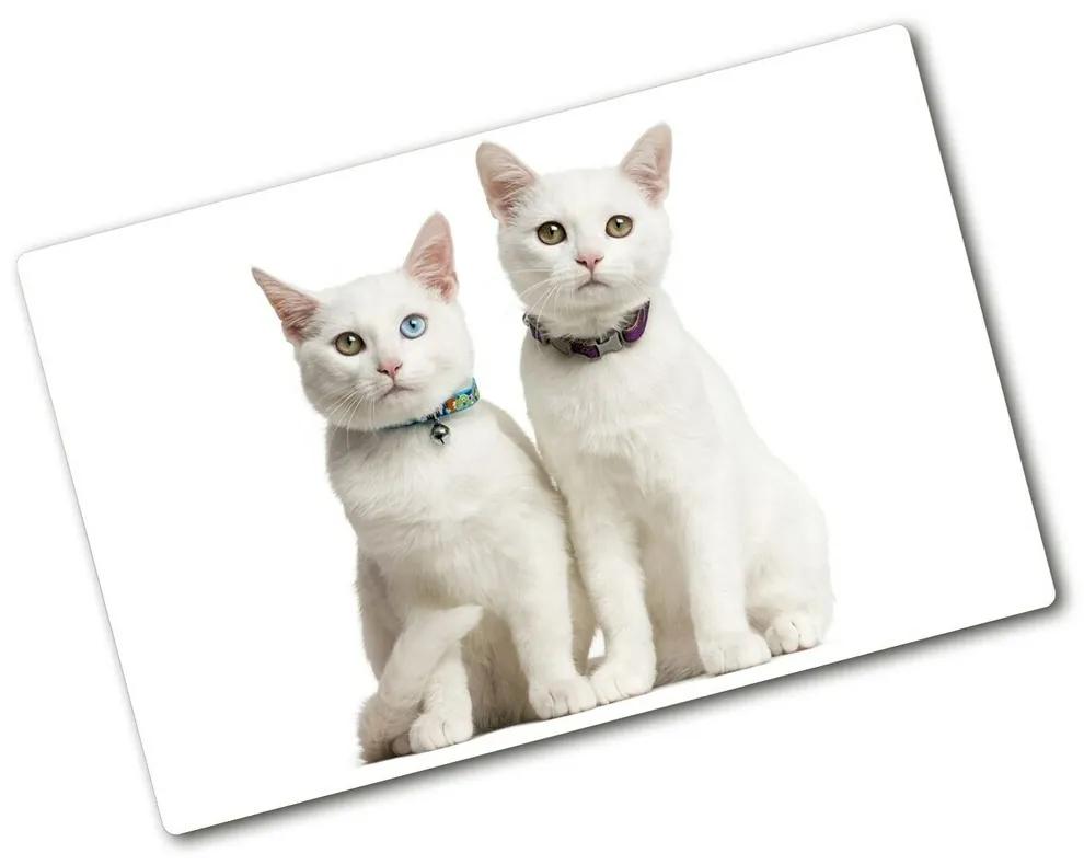 Wallmuralia Kuchyňská deska skleněná Bílé kočky 80x52 cm