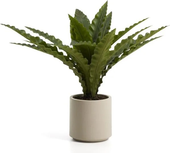 Umělý sukulent (výška 70 cm) Neottopteris – Kave Home