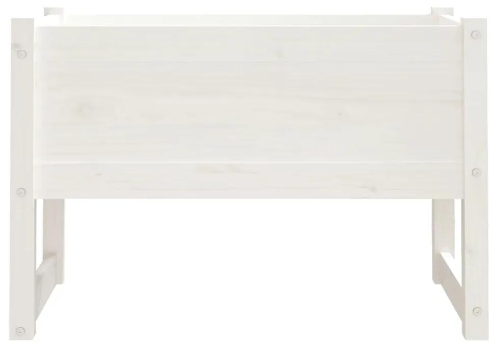 Truhlík bílý 78x40x52 cm masivní borové dřevo - Default Title