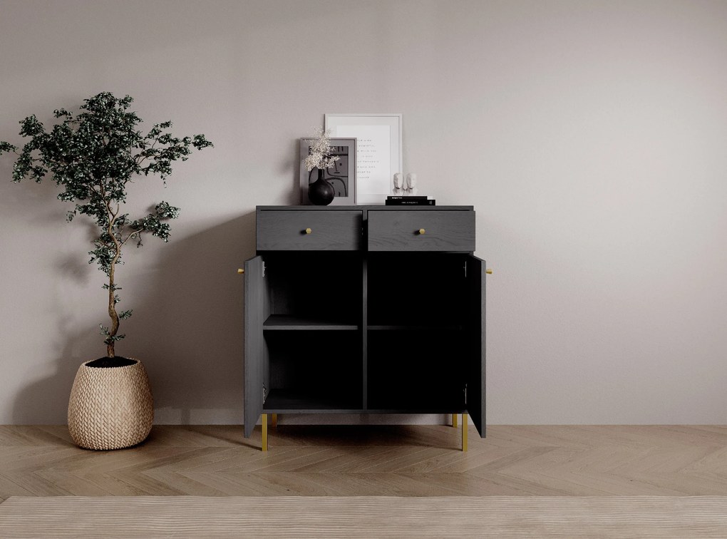 ADRK Furniture Komoda 2D 2S Tili ADRK-CHES-TIL-2D-2S-B
