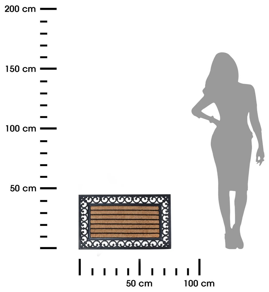 Venkovní rohožka Gracelyn, 75x45 cm