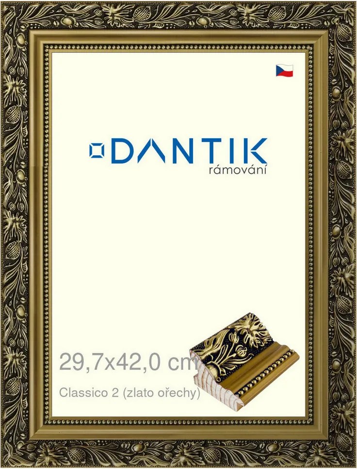 DANTIK rámeček 29,7x42 | Claico 2 (zlato ořechy) (Plexi Čiré)