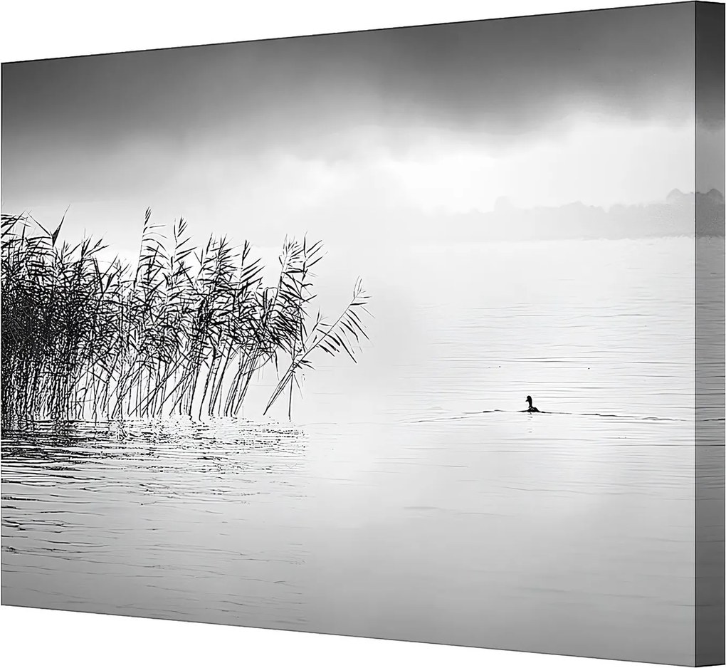 Obraz na plátně By the Lake II