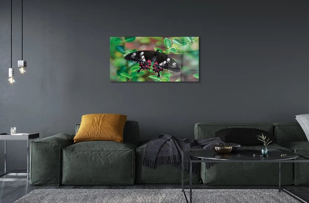 Obraz na skle List barevný motýl 100x50 cm