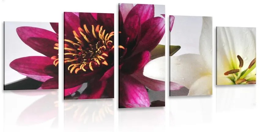 5-dílný obraz květiny v misce Varianta: 100x50