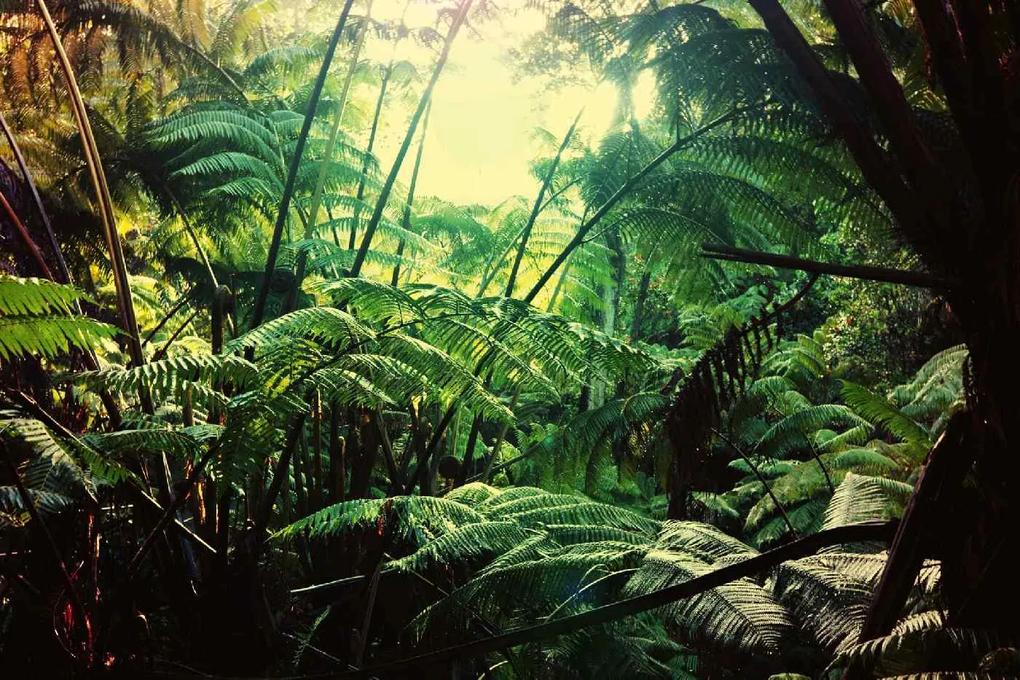 DIMEX | Samolepicí vliesová fototapeta na zeď Džungle na Havaji MA-5-1595 | 375 x 250 cm | zelená