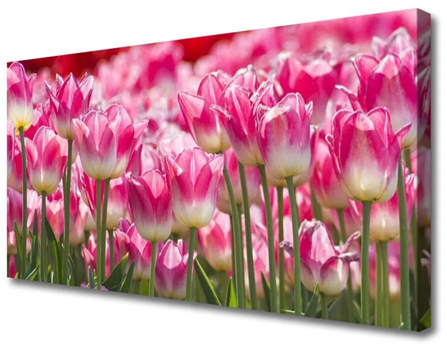 Obraz na plátně Tulipány Květiny Příroda 125x50 cm