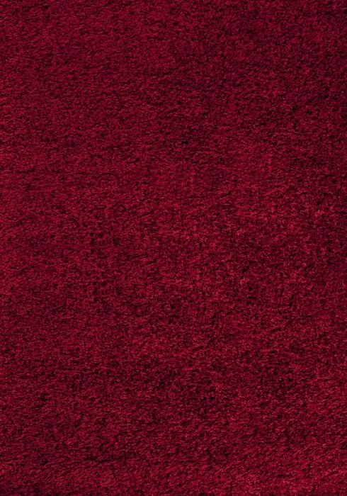Chlupatý kusový koberec Dream Shaggy 4000 červený Typ: 60x110 cm