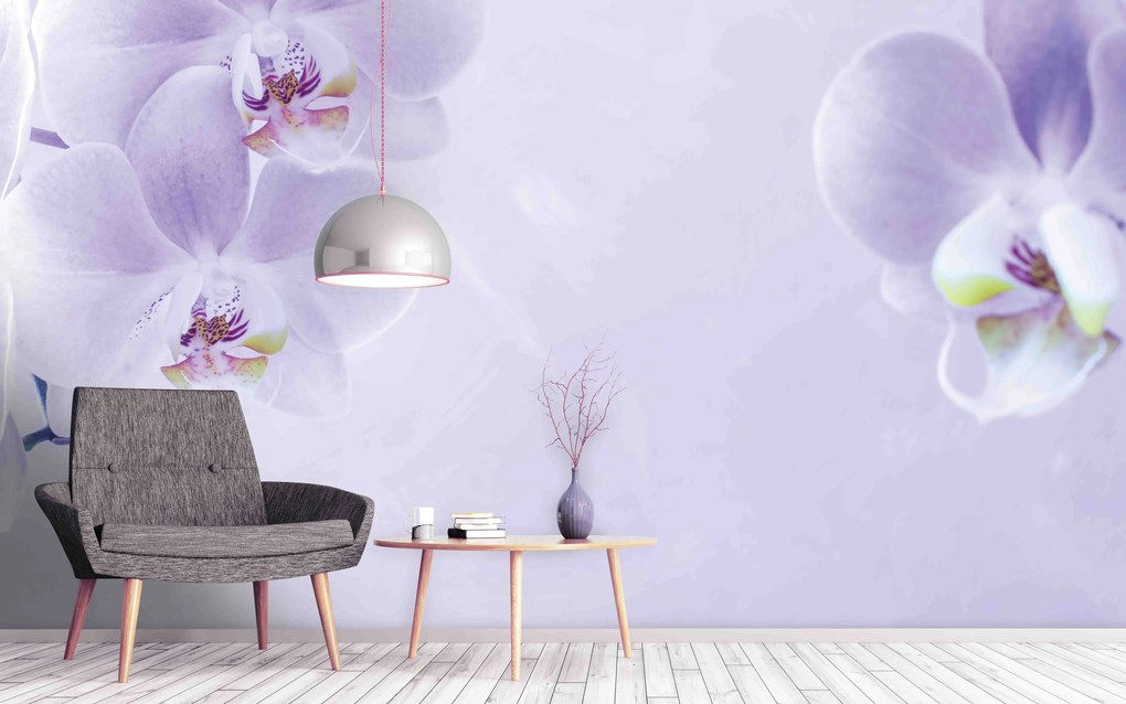 Malvis ® Tapeta Orchidej fialková Vel. (šířka x výška): 360 x 260 cm