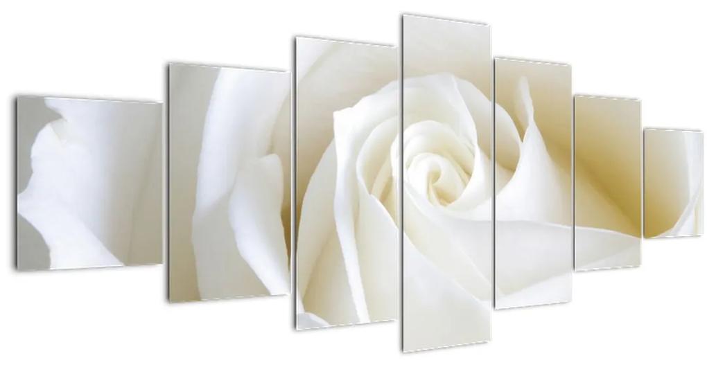 Obraz bílé růže (210x100 cm)