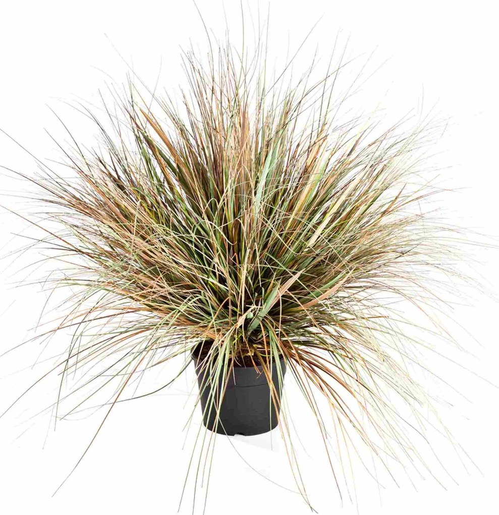 Onion Grass umělá V 70 cm