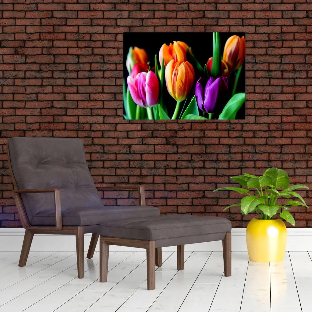 Obraz tulipánů na černém pozadí (70x50 cm)