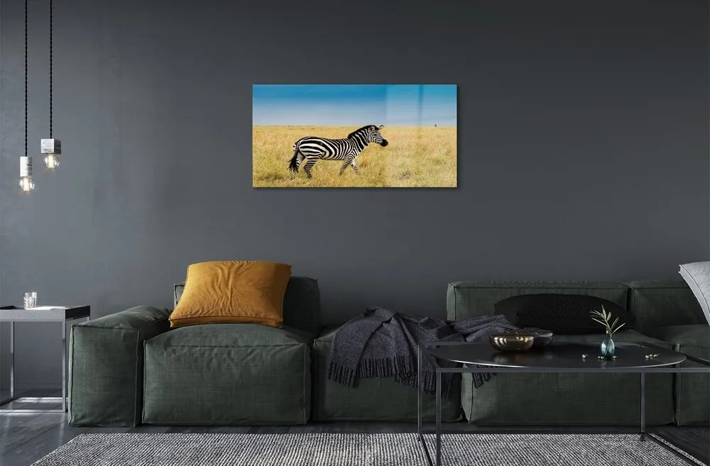 Obraz na skle Zebra box 140x70 cm