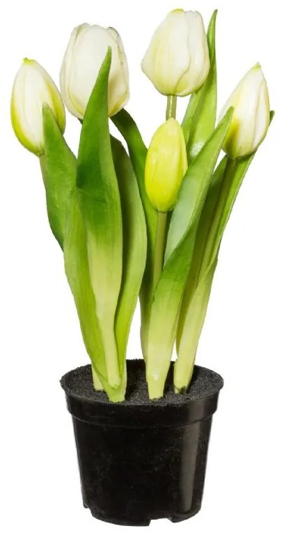 Umělá květina Gasper tulipány v květináči bílá 5x25cm