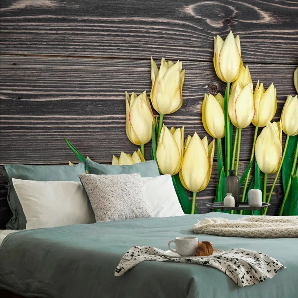 Tapeta žluté tulipány na dřevěném podkladu - 225x150 cm