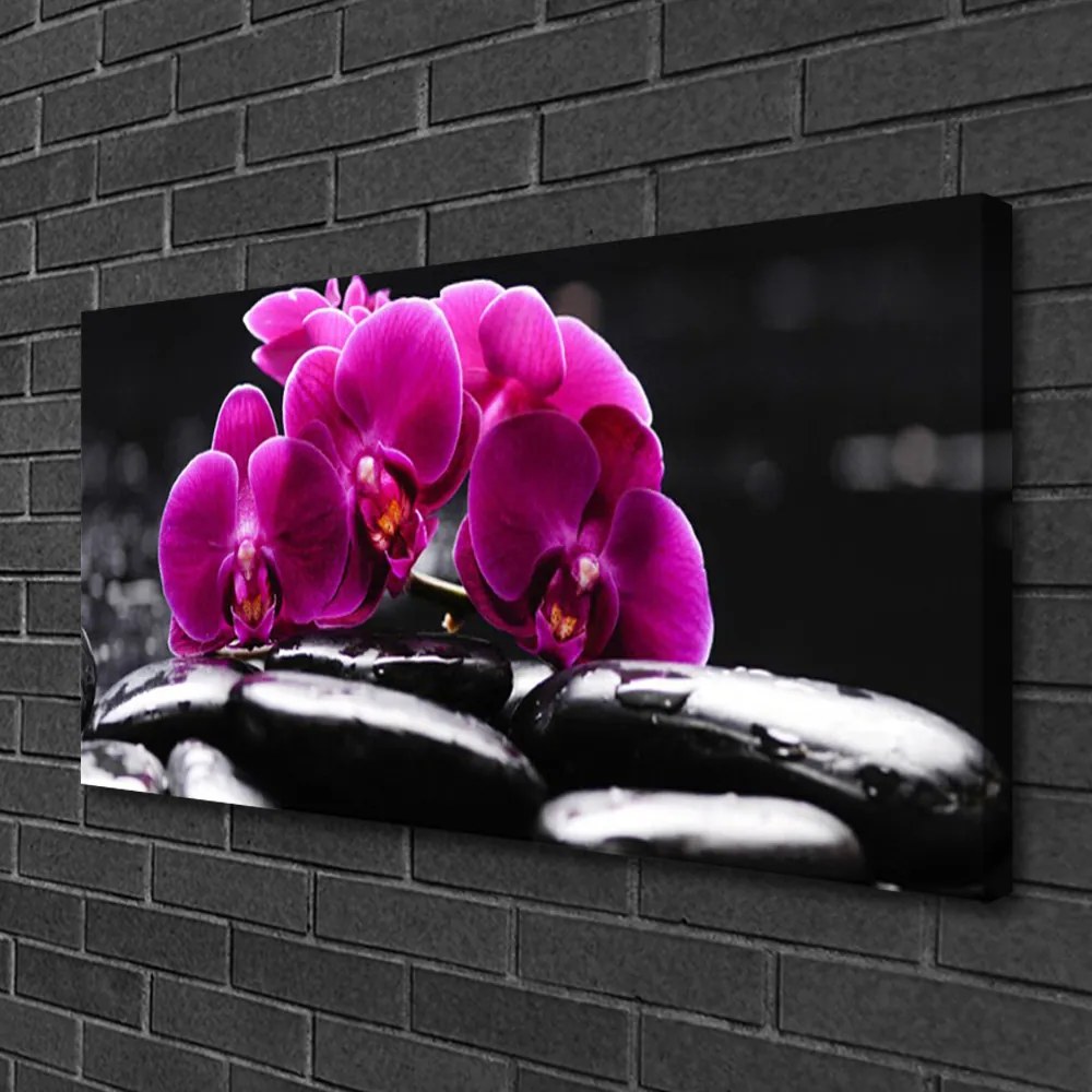 Obraz na plátně Kameny Zen Orchidej Lázně 140x70 cm
