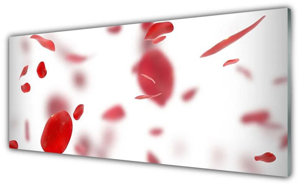 akrylový obraz Růže Plátky 125x50 cm