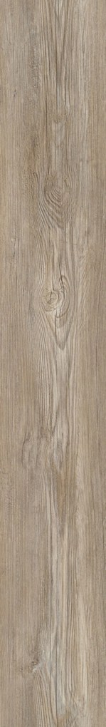 Oneflor Vinylová podlaha lepená ECO 30 066 Prestige Oak Natural  - dub - Lepená podlaha