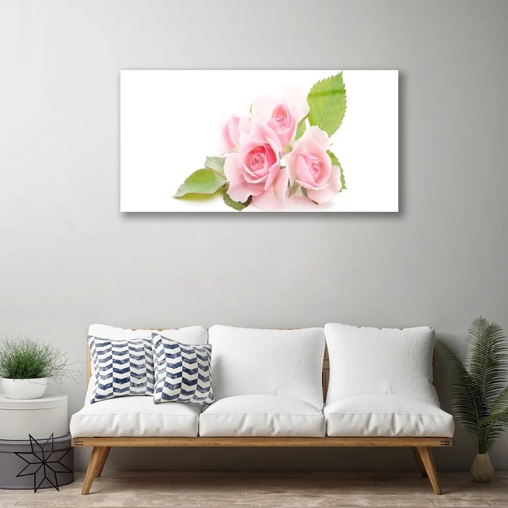 Obraz na skle Růže Květiny Příroda 100x50 cm