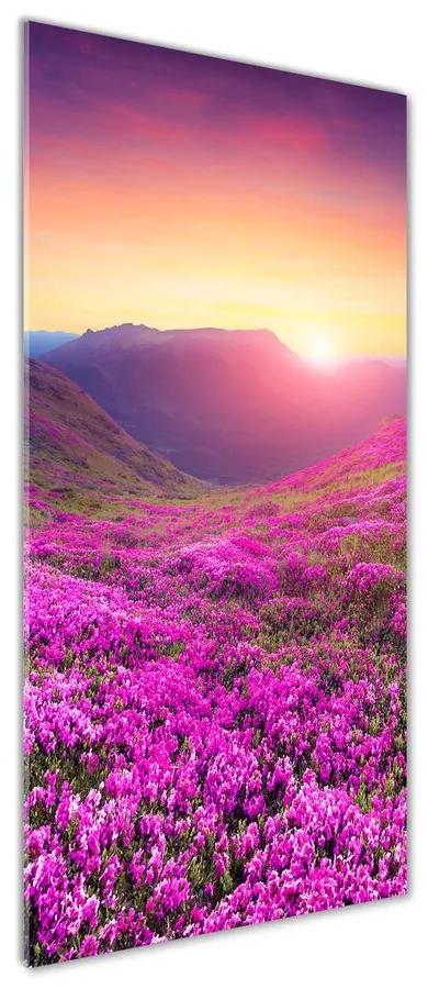 Wallmuralia Foto obraz skleněný svislý Hory rododendrom 50x125 cm