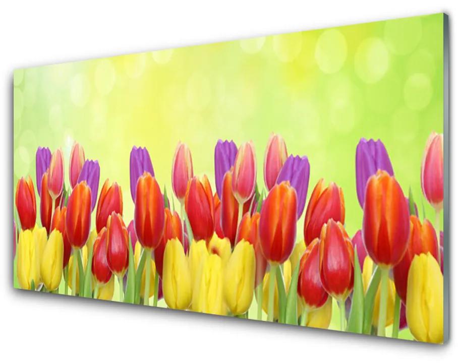 Obraz na skle Tulipány Květiny Rostlina 140x70cm