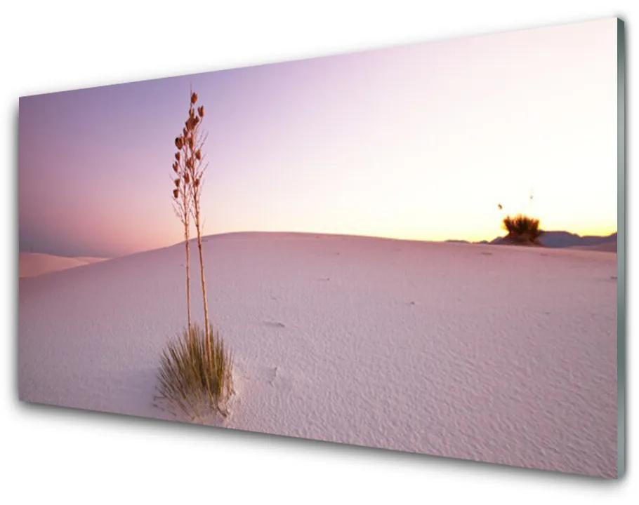 Obraz na skle Poušť Písek Krajina 100x50 cm