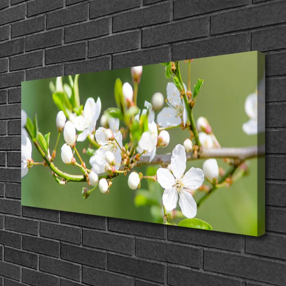 Obraz na plátně Květiny Větve Listy Sad 120x60 cm