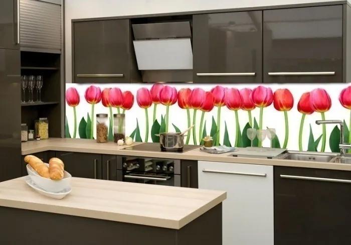 DIMEX | Fototapeta do kuchyně Tulipány KI-260-058 | 260 x 60 cm | zelená, červená